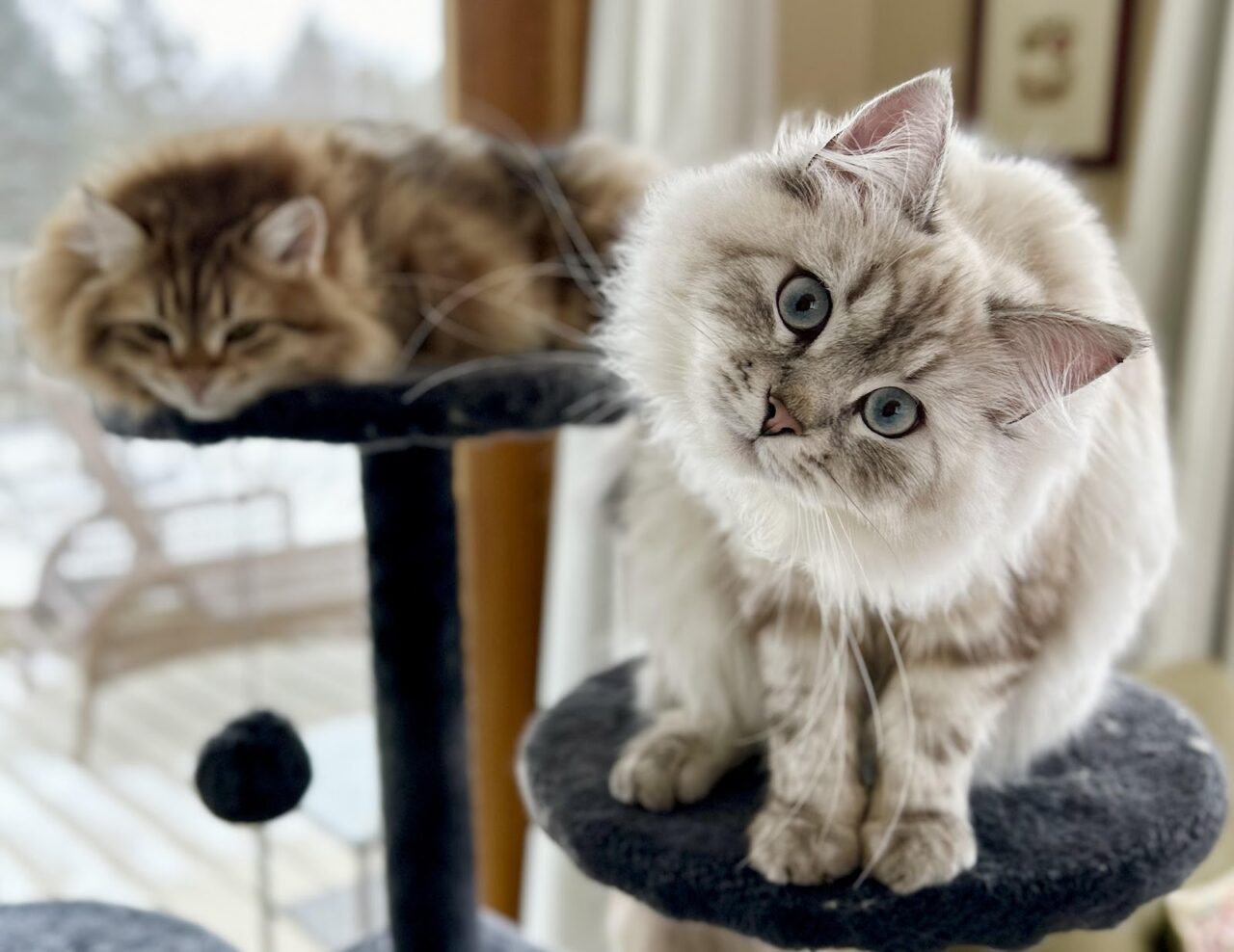 Focus on Woodbury 2024 Winners - Woodbury Magazine